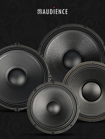 SB Audience :: About